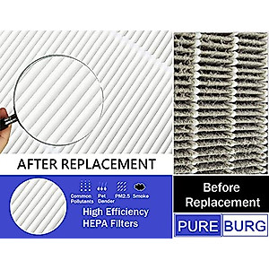 PUREBURG FLT5000 Replacement True HEPA Filter Set Compatible with GermGuardian AC5000 AC5000E AC5250PT AC5300B AC5350W AC5350B AC5350BCA1 Air Purifiers FLT5000, FLT5111, Filter C, 2-Pack