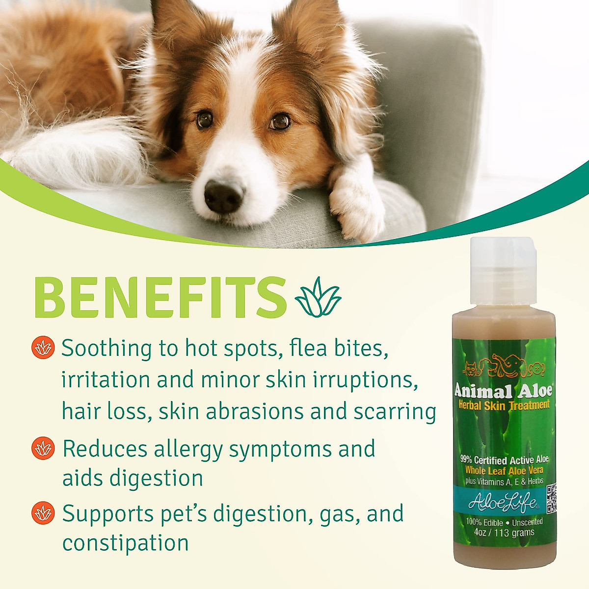 Aloe Life - Animal Aloe, Pet-Safe Digestive Aid & Skin Treatment Gel, Helps to Soothe Hotspots, Flea Bites & Irritation, Supports Your Pet’s Digestive Health & Overall Wellness, Fragrance-Free (4 oz)