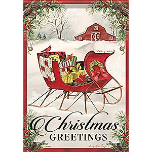 US Flag Store 49011 Carson Garden Flag, Red, White, Green