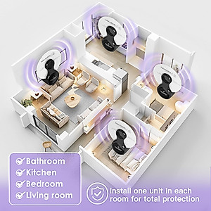 Hausbell Fruit Fly Traps for Indoors, Wall Plug-in Fly swatter, 1 Trap + 2 Glue Cards, Black