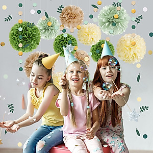 PAPER JAZZ Sage Green Party Decorations Sage Green Tissue Paper Pom Poms Circle Dots Garland Leaf Confetti Hanging Backdrop for Girl Women Birthday Baby Shower Bridal Shower Wedding Party Supplies