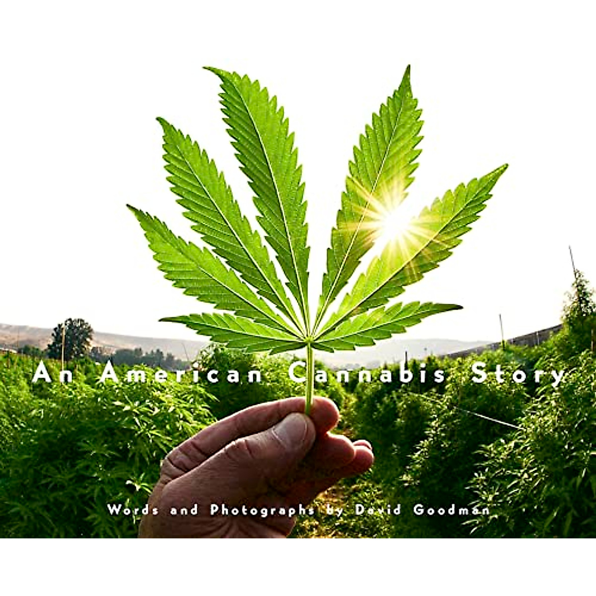 An American Cannabis Story