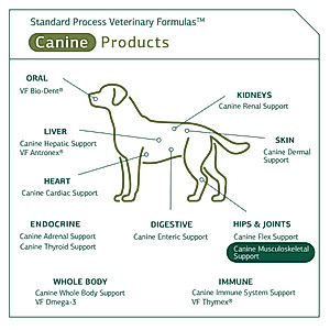 Standard Process Canine Musculoskeletal Support - Bone & Joint Health Formula for Pets - Canine Musculoskeletal Support Supplement - Supplement for Dogs to Aid Joint Comfort & Muscle Health - 30 g