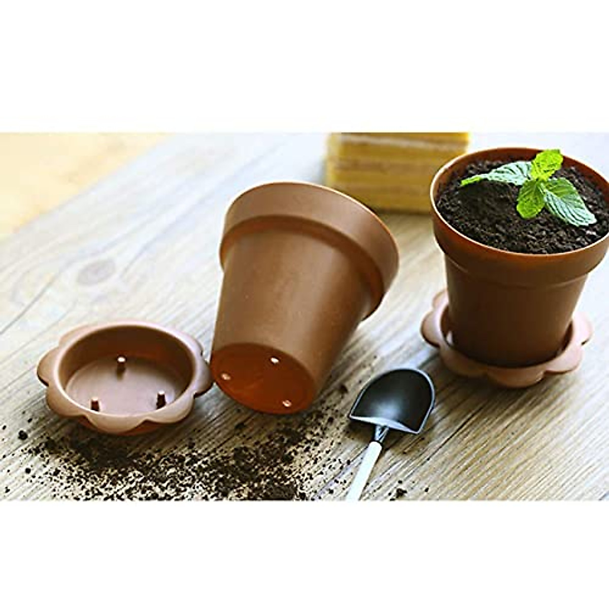 Healthcom 50 Packs 180ml Ice Cream Dessert Cup with Lids and Spoons 50 Sets Flower Pot Cups Mousse Cake Cups Salad Cup Dessert Bowls Jelly Pudding Yogurt Cup Snack Bowls Container for Party Wedding