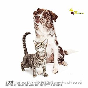 BRILLIRARE 4 Pack Flea Lice Comb, Stainless Steel Dog Cat Grooming Combs with Rounded Teeth, Double Sided Professional Pet Tear Stain Remover, Dematting Tool for Small, Medium & Large Pets