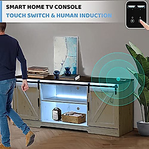 DANSION Farmhouse TV Stand for TVs up to 65 Inch, Smart Led Modern Entertainment Center with USB Port, 59" Media Console Table with Sliding Barn Door and Adjustable Shelf for Living Room, Bedroom