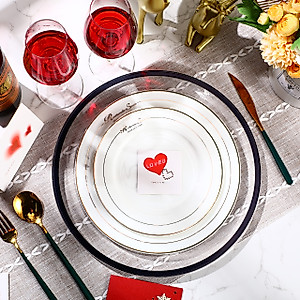 24 Pack Clear Charger Plates Bulk 13 Inch Plastic Round Dinner Plate with Black Edge Acrylic Dinner Charger Decorative Plates for Party Banquet Wedding Family Events Dinner Table Decoration