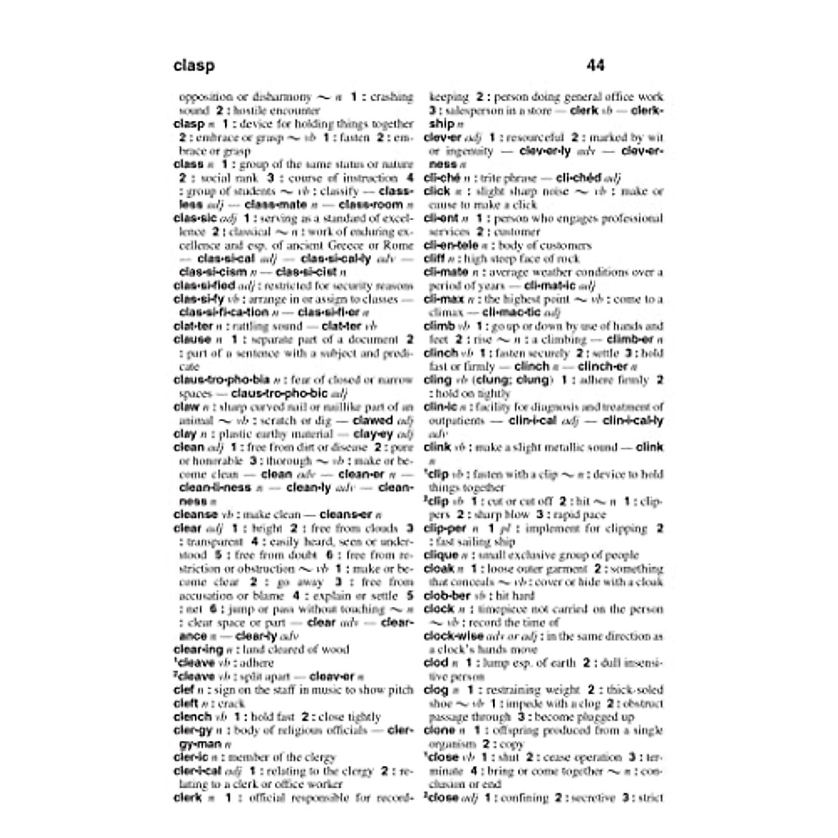 Webster's Dictionary & Thesaurus, Newest Edition