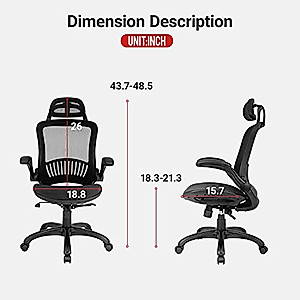 Office Chair Desk Chair Computer Chair Ergonomic Rolling Swivel Mesh Chair Lumbar Support Headrest Flip-up Arms High Back Adjustable Chair for Women& Men,Black