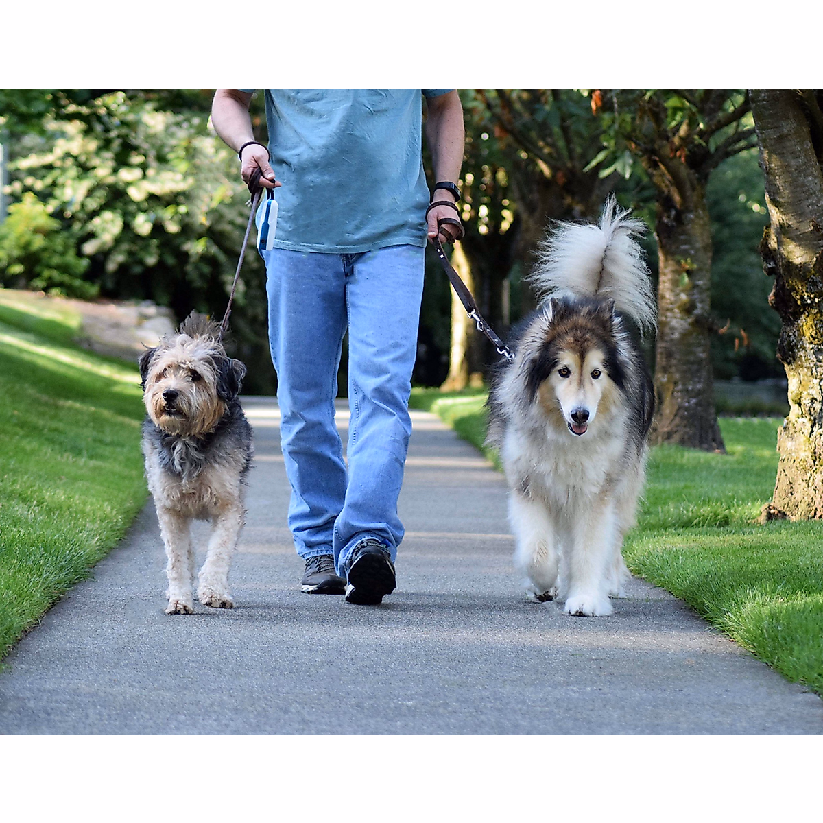 Doggie Don't Device- Handheld Sound Only Dog Training Corrector- Better and More Humane Than a Shock Collar- Stop Barking and Other Naughty Behaviors - Created by a Dog Lover in The USA