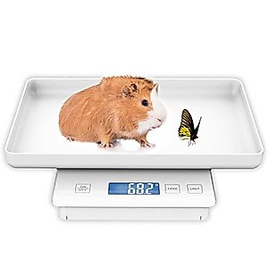MINDPET-MED 11lbs/0.1g Pet Scale for Small Animal, Whelping Scale, Guinea Pig Weighing Scale, High Precision 0.003oz, Suitable for All Newborn Pets, Kittens, Turtles,