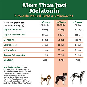 Doggie Dailies Calming Chews for Dogs, 225 Soft Chews, Melatonin for Dogs with Chamomile to Help Manage Stress Relief, Calm & Relaxation During Thunderstorms, Fireworks, Travel, & Separation