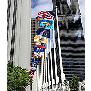 Annin Flagmakers Illinois State Flag USA-Made to Official State Design Specifications, 5 x 8 Feet (Model 141480)