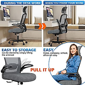 Ergonomic Office Chair, Home Office Desk Chair with Adjustable Headrest & Lumbar Support. High Back Mesh Computer Chair with Thickened Cushion &Flip-up Armrests, Task Executive Chair (Graphite)