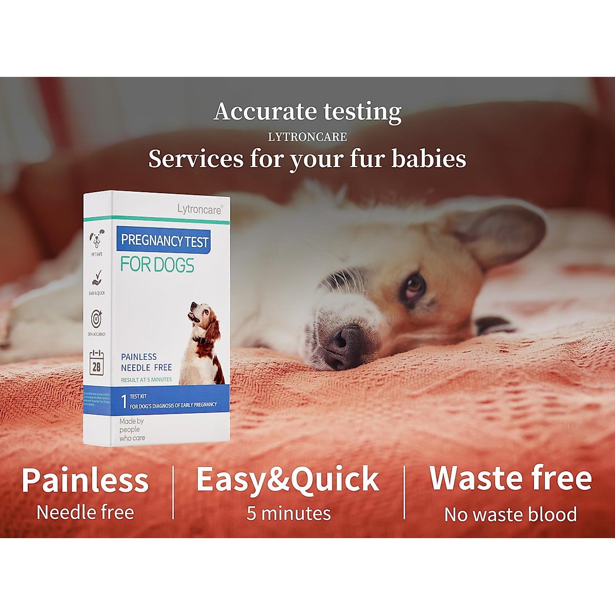 Dog Pregnancy Test at Home, 98% Accuracy, Painless to get Sample No Equipment Required Qucik Result at 5 Minutes Easy NO Mess