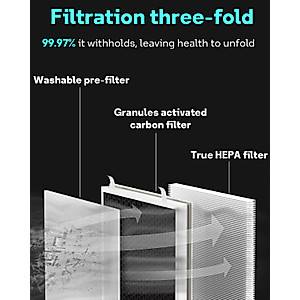 True HEPA Filter for Levoit Vital 100 Air Purifier, Vital 100-RF Replacement Filter, 2 Pack