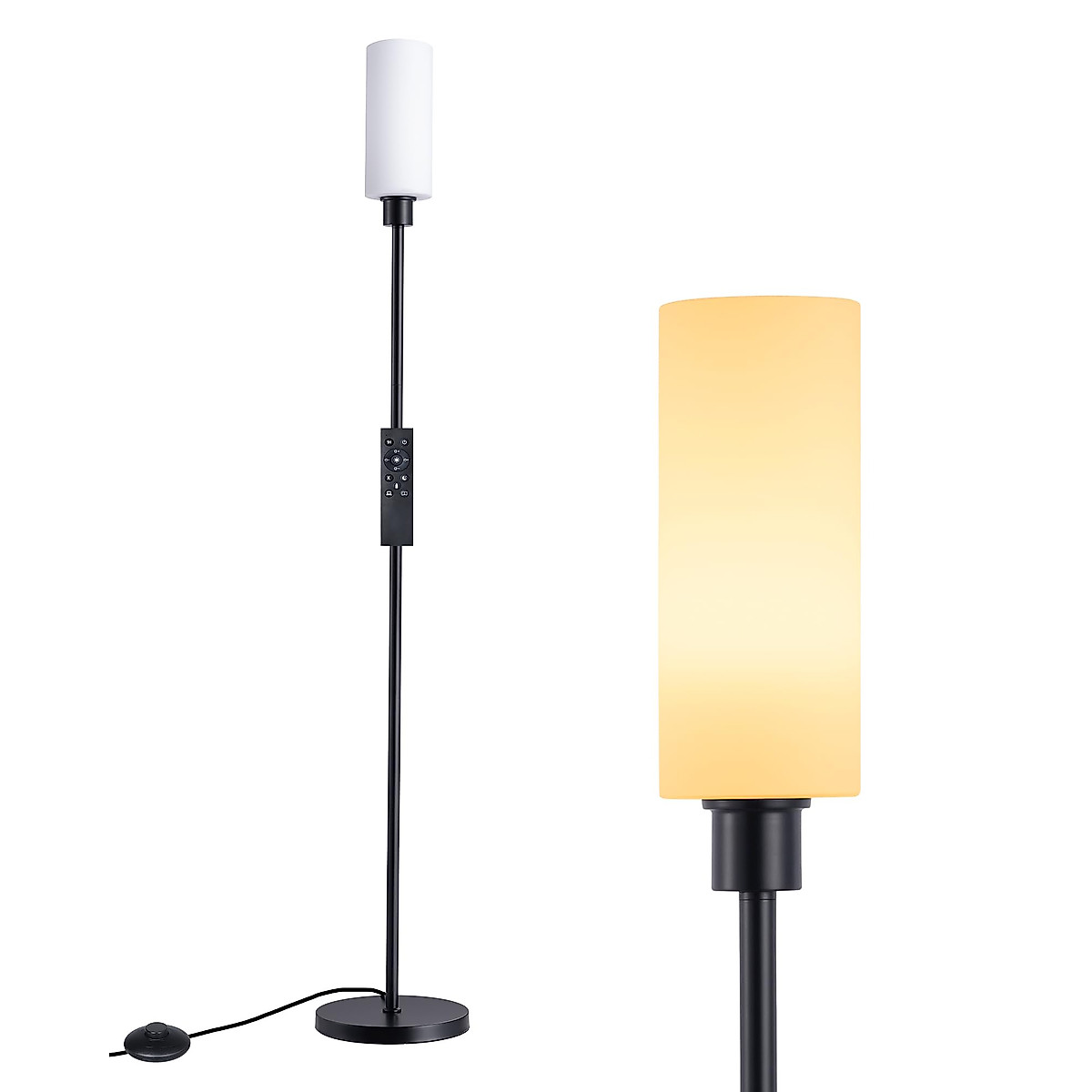 EDISHINE LED Corner Floor Lamp with Glass Lampshade, Modern Dimmable Reading Light with Remote, 65" Standing Tall Lamp for Living Room, Bedroom, Office, Bulb Included (Black)