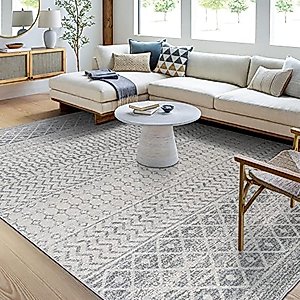 Artistic Weavers Chester Boho Moroccan Area Rug,10' x 14',Grey