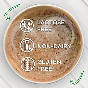 Nestle Coffee mate Sugar Free French Vanilla Coffee Creamer Powder – French Vanilla Creamer for Warm, Rich Flavored Coffee – Lactose-Free, Gluten-Free, Non Dairy Creamer for 140 Servings -10.2 Ounce (Pack of 6)