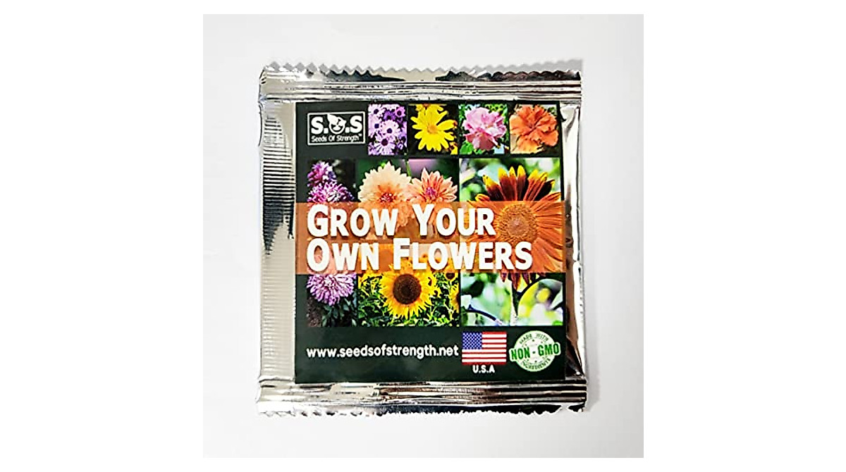 Rare Purple Bleeding Heart Seeds - 10 Pcs