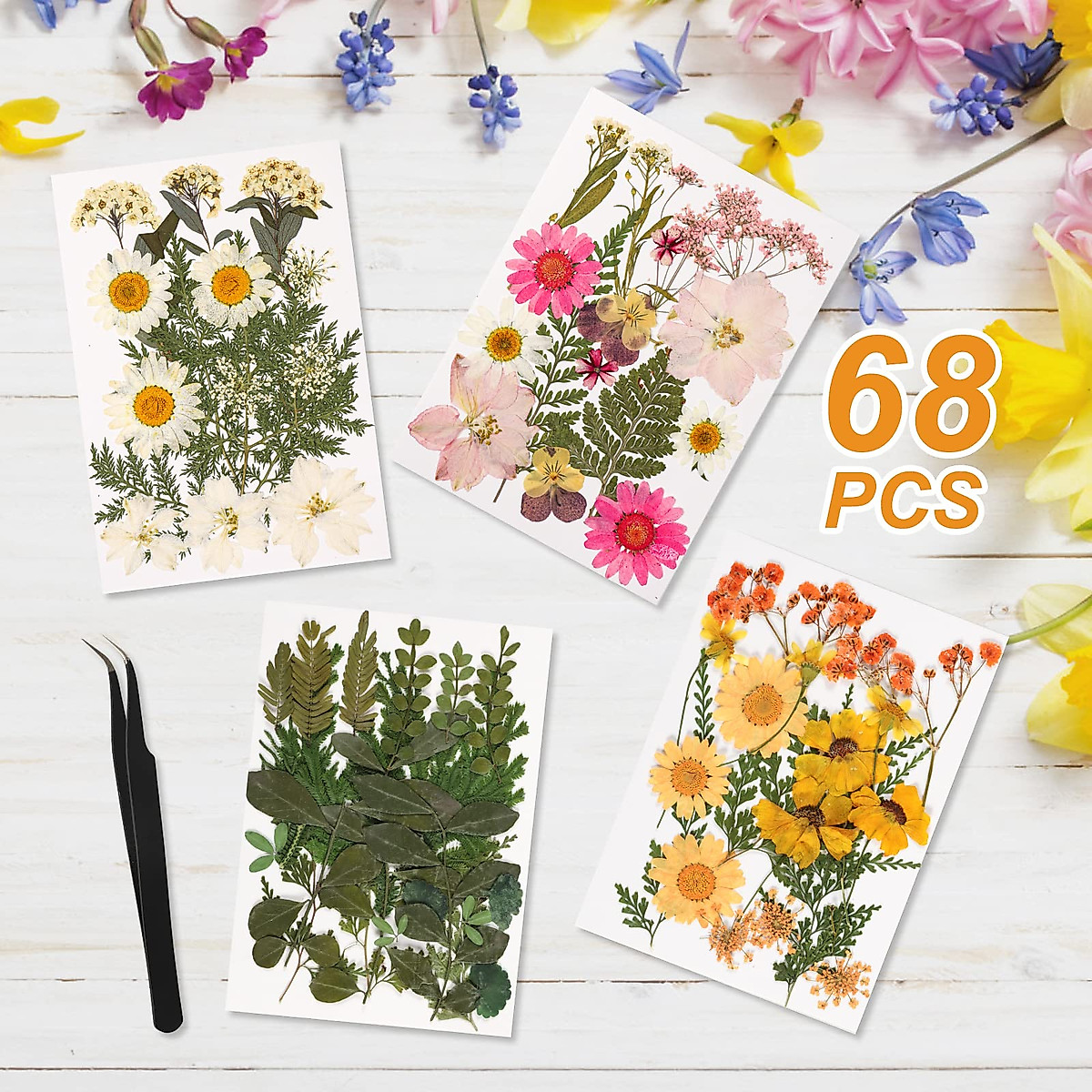 Double Glass Frame for Pressed Flowers - w/Real Dried Flowers and Tweezer for Handicrafts, Photo, or Other Small Flat Items