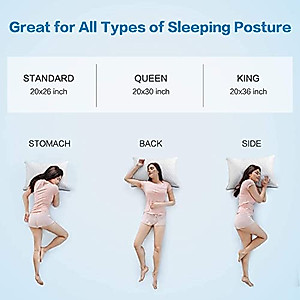 Shredded Memory Foam, Sleeping,Bed Pillows Queen Size Set of 2 Pack Cooling Adjustable,Good for Side and Back Sleeper with Washable Removable Bamboo Cover