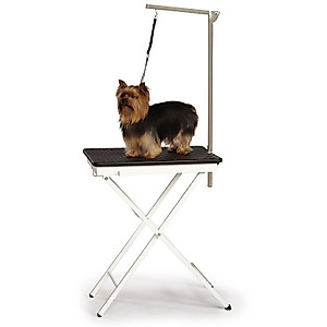 Master Equipment Steel Versa Competition Pet Grooming Table