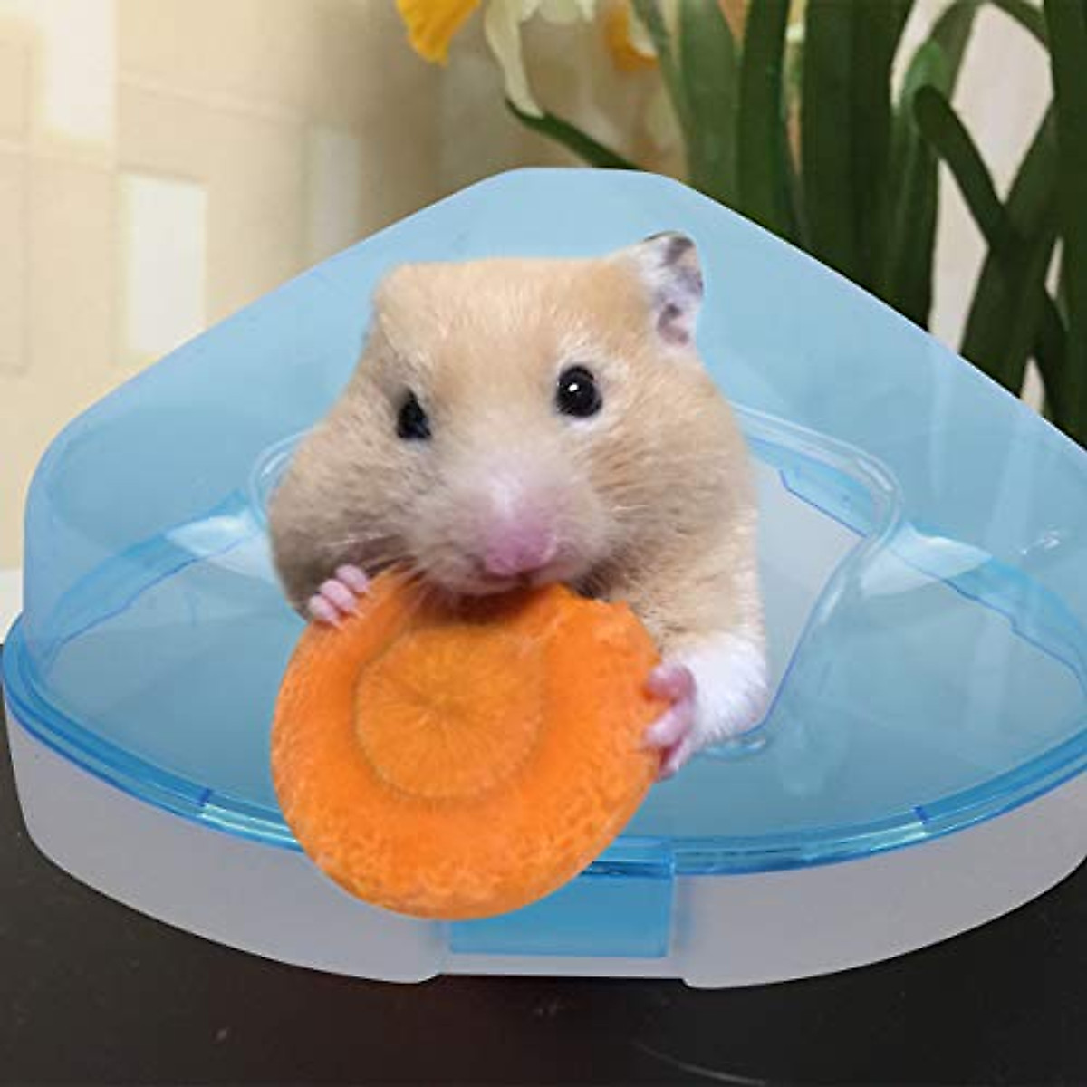 POPETPOP Hamster Sand Bathroom Plastic Sand Bath Container with Scoop Hamster Bathroom Sauna Toilet Bathtub for Mouse Hamster Chinchilla Rat Gerbil (Blue)