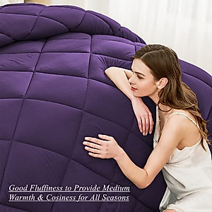 ELNIDO QUEEN 3 Pieces Comforter Set (Cal-King, Purple & Grey) - 1 Reversible Down Alternative Comforter with 2 Pillow Shams - Soft Lightweight Duvet Insert | 104x96 inch