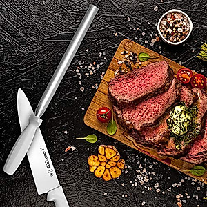 Dexter-Russell 10" Diamond Knife Sharpener, DDS-10PCP, SANI-SAFE Series ,White