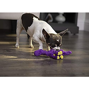 goDog Just For Me Bruto with Chew Guard Technology Plush Dog Toy, Purple, Mini