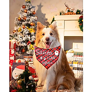 Waghaw Dog Christmas Bandana, 2 Pack Plaid Pets Bandana for Small Medium Large and Extra Large Dogs (Large, Red)