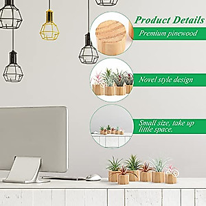 Set of 6 Wood Air Plant Holder- 2 Sizes Rustic Style Air Plant Pots Indoor Decorative Air Plants Display Containers Table Centerpiece for Home Office Tabletop Decor Supplies(Internal Dia 1.2" & 1.4")