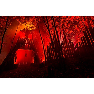 Froggy's Fog Halloween and Party Fog Fluid, High Output Long-Lasting Fog Juice for 400-1500 Watt Water-Based Fog Machines, Great for Pro & Home Haunters, Theatrical Effects, DJs, & More, Half Gallon