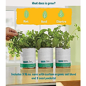 Back to the Roots New Kitchen Garden Complete Herb Kit Variety Pack of Basil, Mint, and Cilantro Seeds