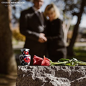 Mini Urn w/Velvet Bag, Funnel, Box – Memorial Funeral Urn Ashes Keepsake for Humans & Pets – Beautiful Cremation Urns - Aluminum Keepsake Urns for Human Ashes & Pets - Decorative Urns for Home Décor