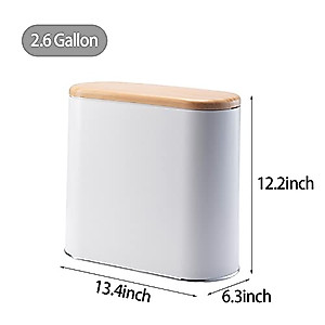 Slim Trash Can with Lid, 2.6 Gallon/10 Liter Plastic Double Barrel Wastebasket, Rectangular Garbage Container Bin for Bathroom, Bedroom, Kitchen, Office