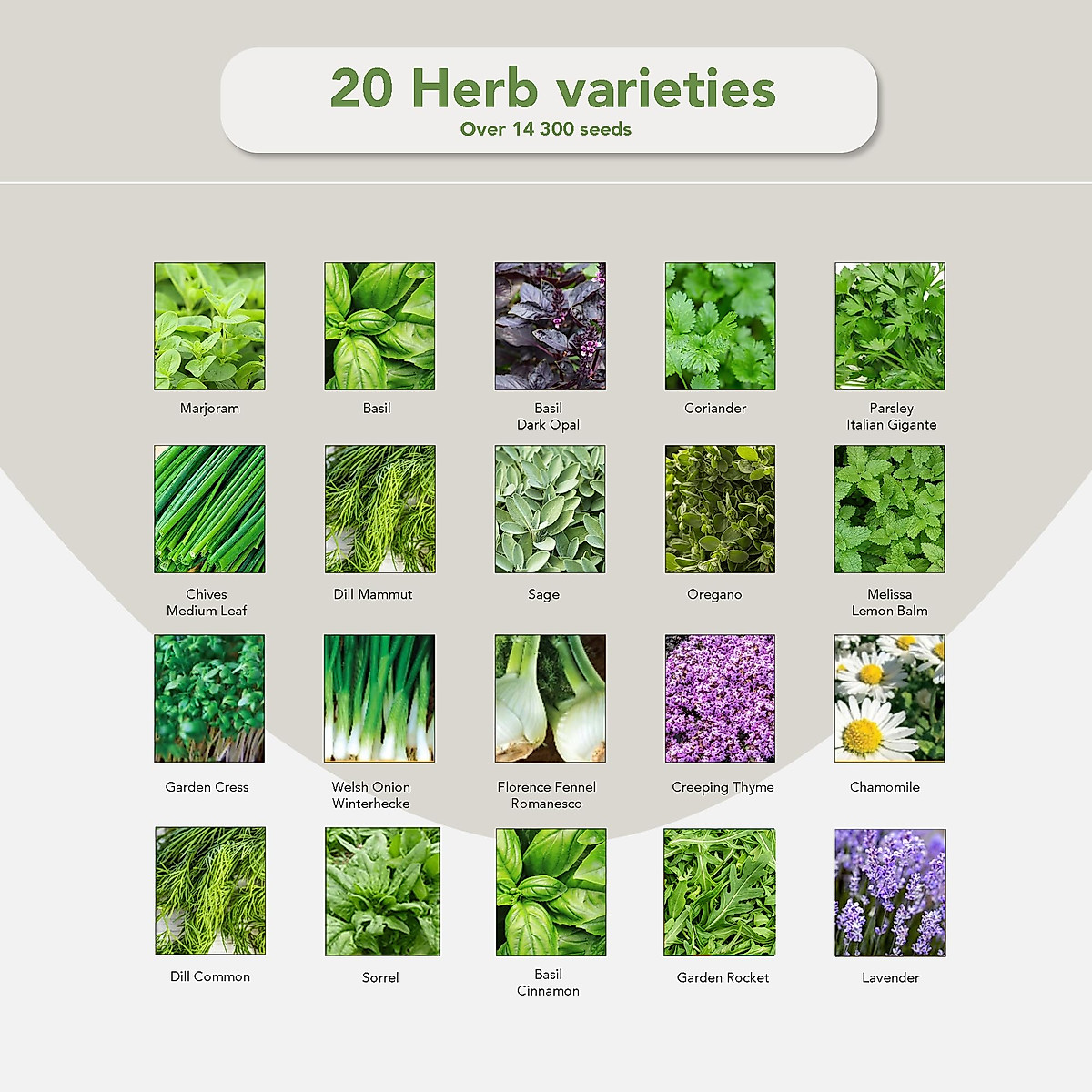 Garden Pack 20 Herb Seeds Variety Pack - 14,000 Non GMO Herb Seeds for Planting - Garden Seeds for Your Own Herb Garden