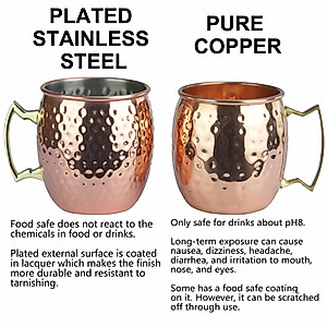 Arora Moscow Mule Mug, Set of 2 Copper Hammered, Durable for Home Dining, Max Capacity 20oz, 3.7" D x 3.9" H