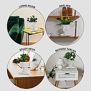 3 Pack Ceramic Succulent Plant Pot, Creative Human Shaped Planter, Decorative Resin Succulent Planter Vase Human Face Flower Pot Plant Container Bonsai Holders Desktop Flower Table Art Statue, White