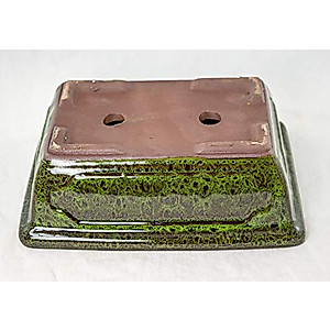 Calibonsai Rectangular Bonsai/Cactus & Succulent Pot 8"x 5.75"x 2.5" w/Mesh - Moss Green Stain