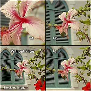 Hoya Close-Up Kit – Filter Set for Macro Photography (+ 1, 2, 4, 40.5 mm) Black