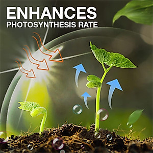 KAMATION Plant Growth Enhancer Supplement, 2023 Upgraded Take Root Rooting Hormone Supplement for Transplant & Rescue The Disease Seedlings, Promotes Rooting, Grow New Plants from Cutting (A*2pcs)