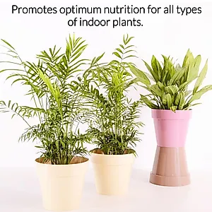 Professional Liquid Indoor Plant Fertilizer | 3-1-2 Concentrate for Plants and Flowers | Multi-Purpose Blend & Gardening Supplies | 8 oz Bottle