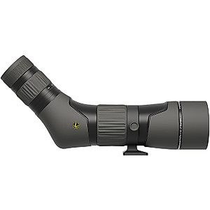 Leupold SX-2 Alpine HD 20-60x60mm Angled Spotting Scope in Shadow Gray Finish