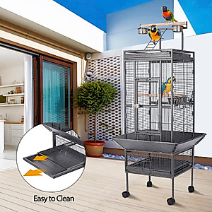 HSM 63 Inch Wrought Iron Large Bird Flight Cage with Rolling Stand for African Grey Parrot Cockatiel Sun Parakeet Conure Lovebird Canary…