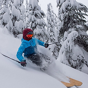 BLACKSTRAP The Team Hood Cold Weather Balaclava - Camo Canvas | One Size