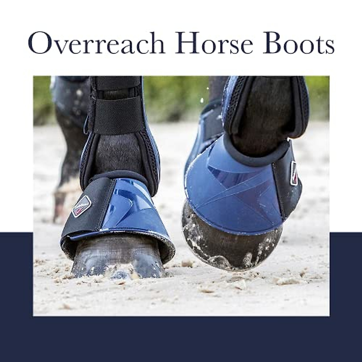 LeMieux ProShell Overreach Horse Boots - Over Reach or Bell Boots for Horses - Protective Gear and Training Equipment - Equine Boots, Wraps & Accessories (Black - Large)