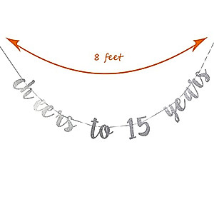 StarsGarden Cheers to 15 Years Banner - It's My Funny Fabulous 15 Banner -15th Birthday Banner Decorations - Milestone Happy Birthday Decorations(Silver 15), SG-22NP453