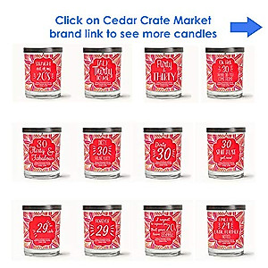 Talk Thirty to Me, 30th Birthday Candles Gifts for Women, Scented 100% Soy Candles, Made in The USA, 30 Year Old, Happy Birthday Candle, Happy Birthday Gifts for Friends, Female, BFF, Bestie, Sister.